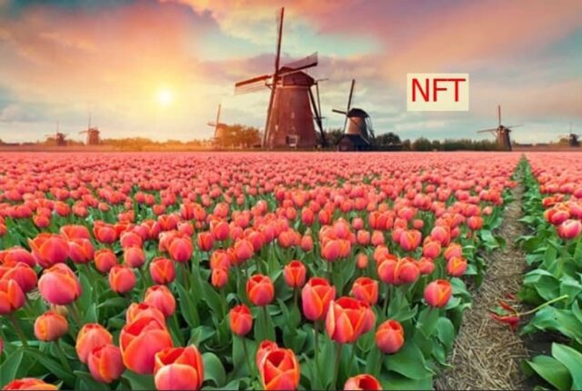 Liệu cơn sốt NFT có trở thành bong bóng hoa Tulip tiếp theo không?